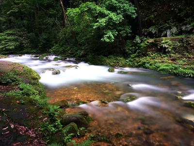 Zhangjiajie National Forest Park,Golden Whip Stream , Jinbian Brook ...